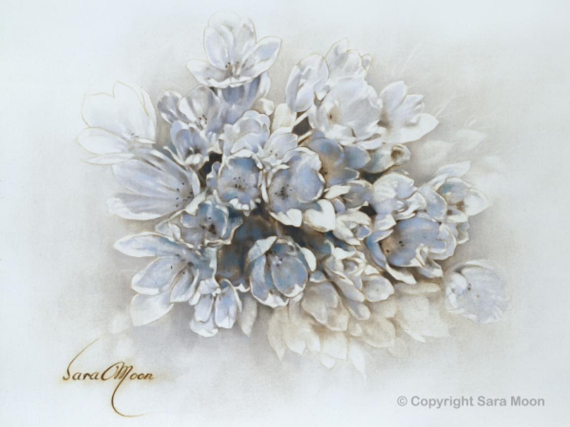 The Landscape & Floral Gallery at The Art of Sara Moon Website
